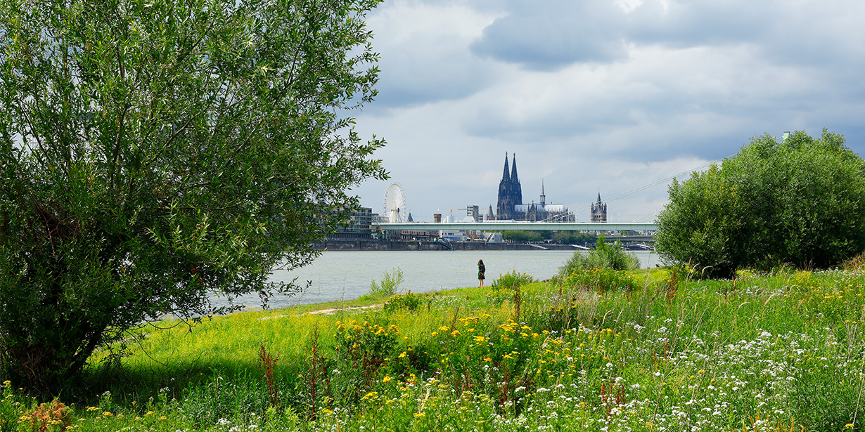 5 Summery Spots to Visit in Cologne Deutz