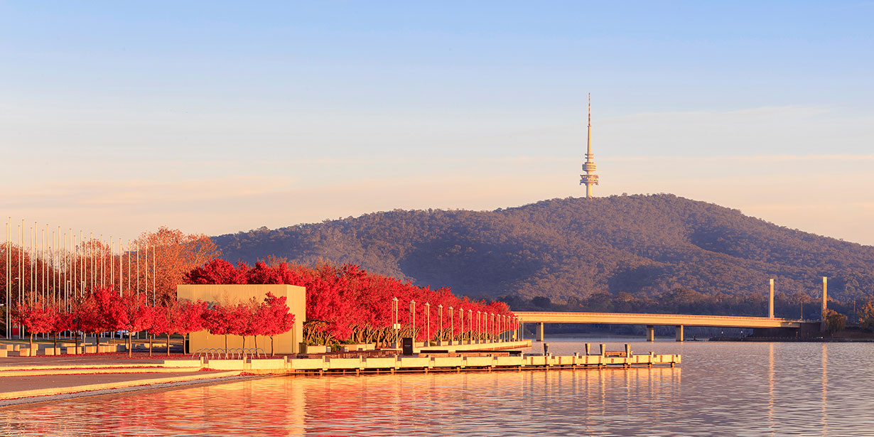 Things to do in Canberra with the Family